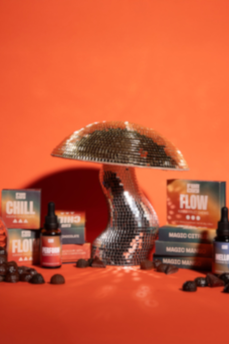 fun guy — kanna chocolate and gummies – Nature Knows